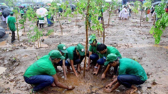 Petition · The people of our country plant more trees and save our mother earth from climatic ...