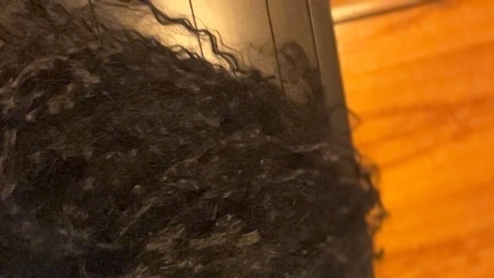 Petition · dayonna need power - United States · Change.org