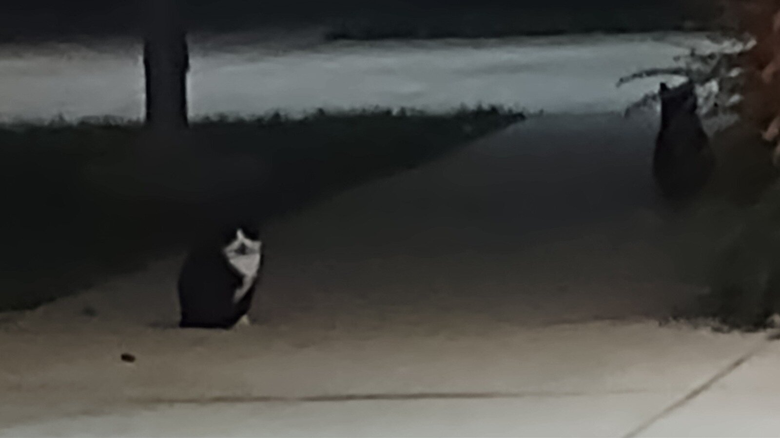 Petition · Persuade SLCC to Recognize and Approve a TNR Colony on the ...