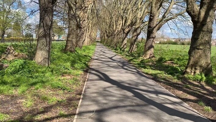 Petition update · Save our historic tree line avenue · Change.org