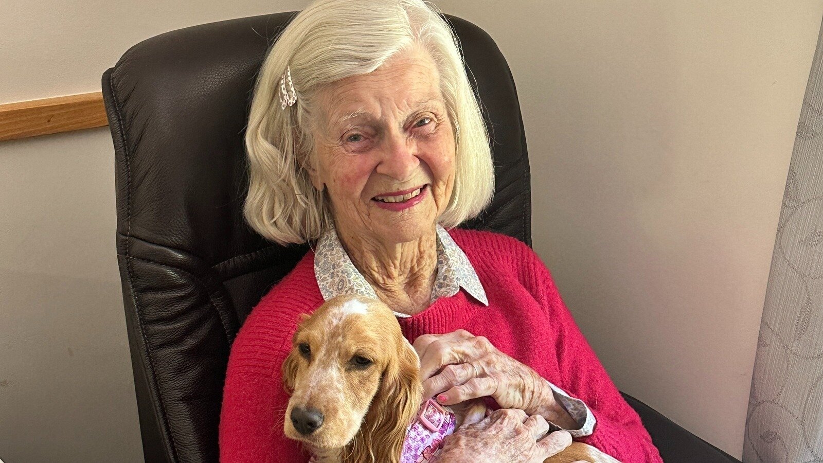 Petition · Advocate for Companion Pets Inclusion in Aged Care ...