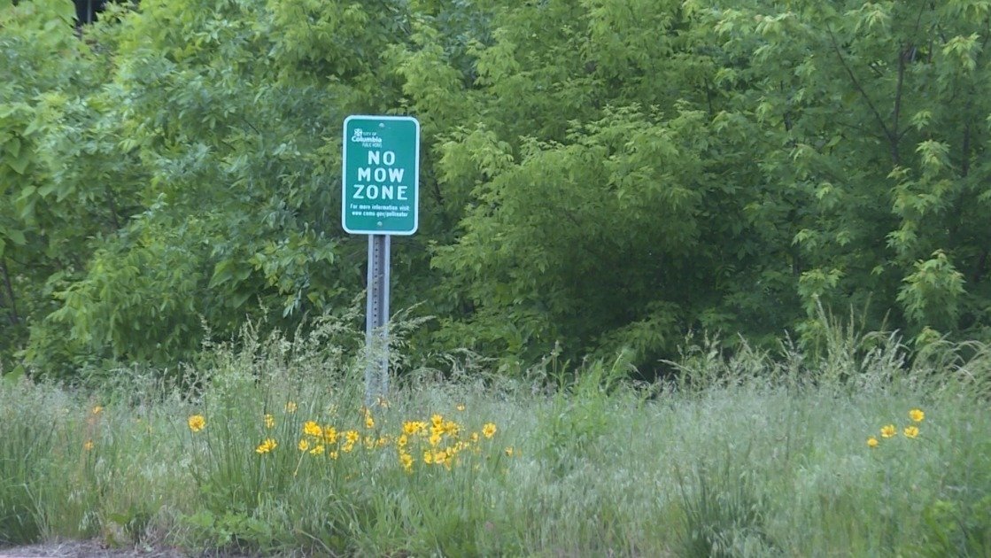Petition · Ban No Mow Zones - United States · Change.org