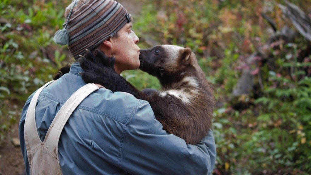 Petition · Stop Unfair Revocation: Support Steve's Wildlife Tours in ...