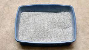 Petition · PUT A LITTER BOX IN EACH BOX HILL HIGH SCHOOL BATHROOM ...