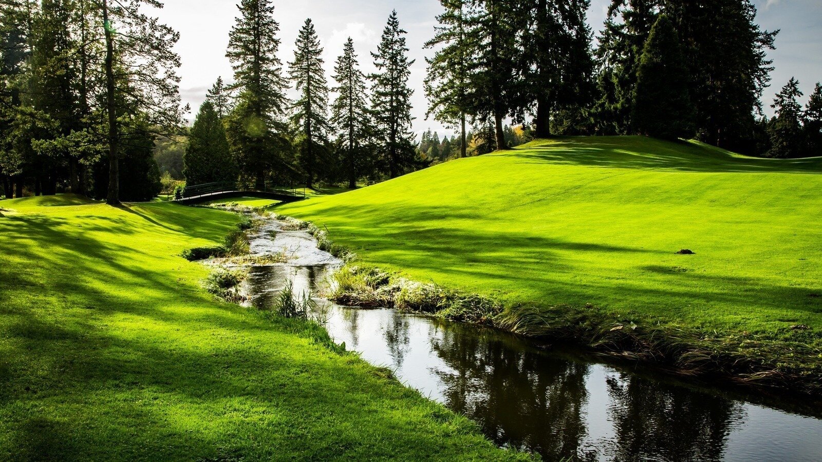 Petition · Transform 100 Acres of Peace Portal Golf Course into a ...