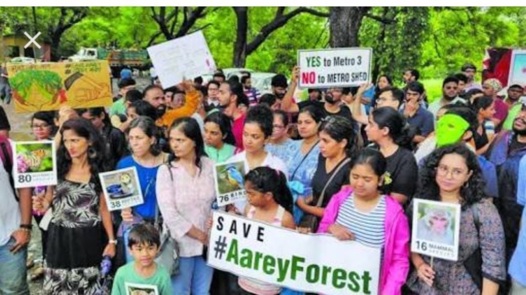 Petition · STOP THE ARREY FOREST FROM DEFORESTATION - India · Change.org