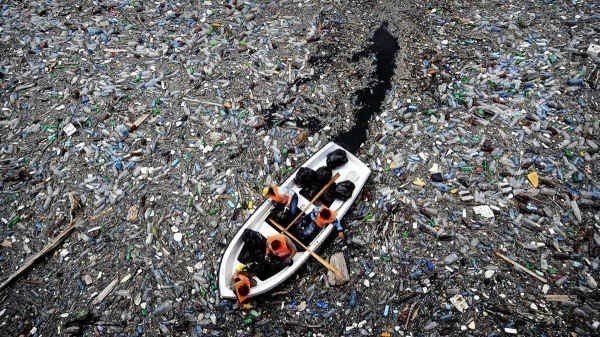 Petition · Clean up the Great Pacific Garbage Patch - Wellington, New ...
