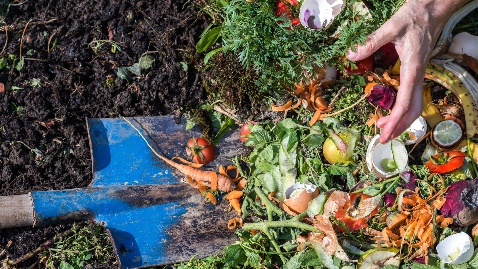 Petition · Implement Curbside Composting Pick-Up Program in Greenburgh ...