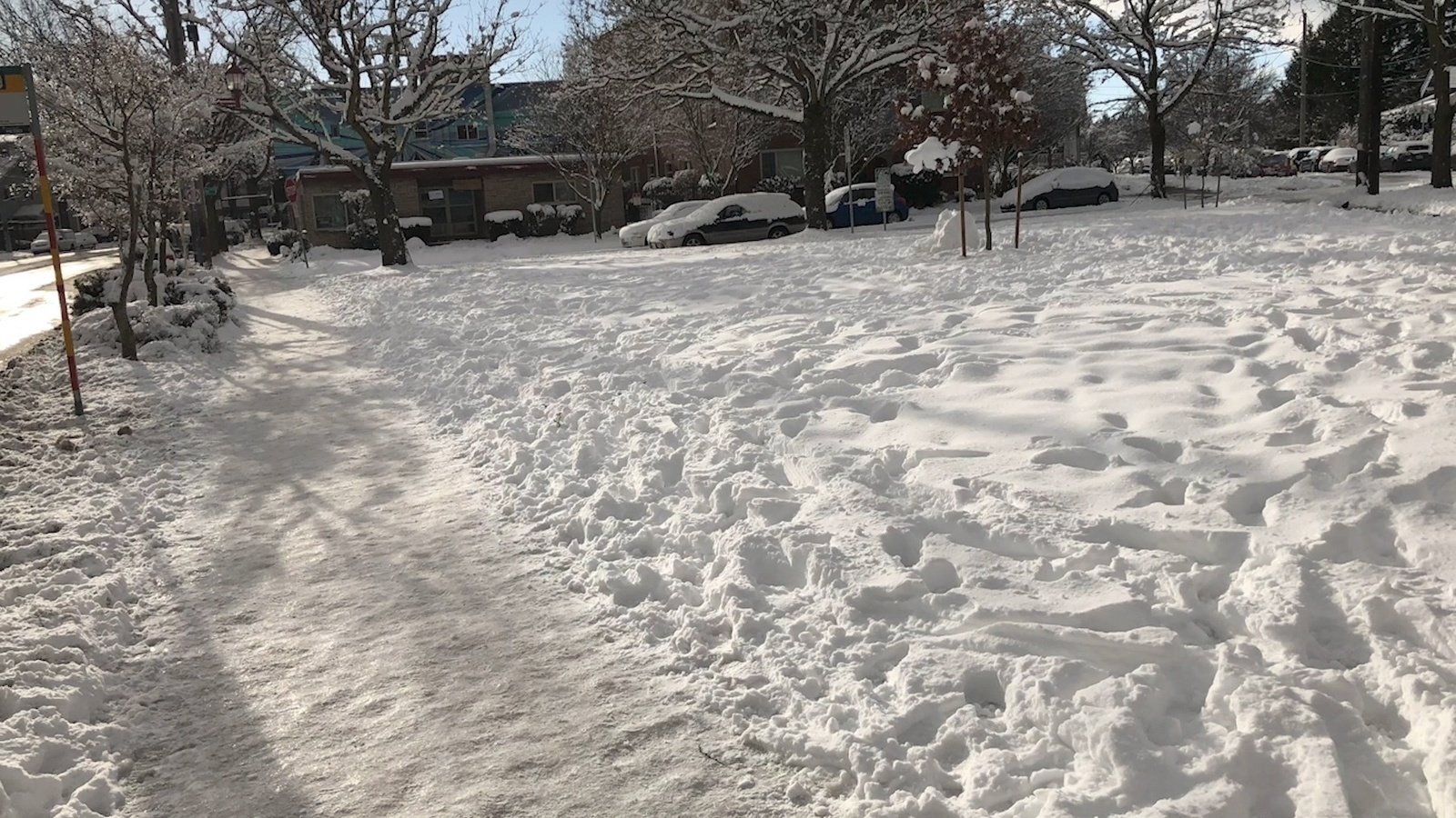 Petition · Seattle Sidewalk Snow Removal Enforcement - Seattle, United ...