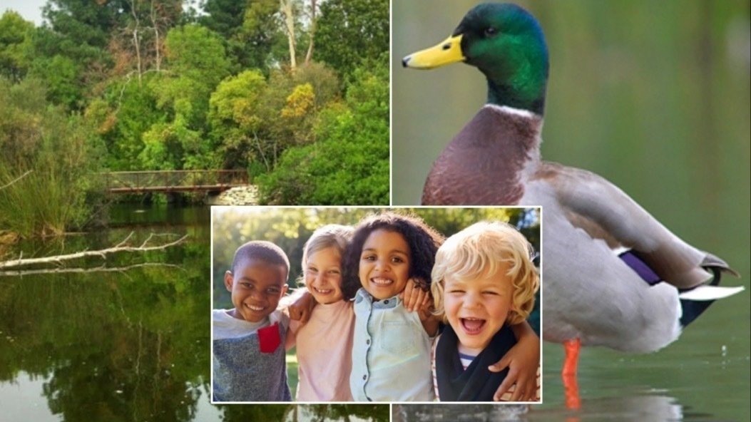 Petition · Save The Park Ranger Program - Long Beach, United States ...