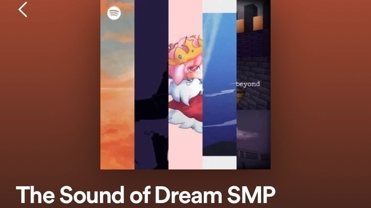 Petition · Remove DSMP category from Spotify wrapped. - United States ...