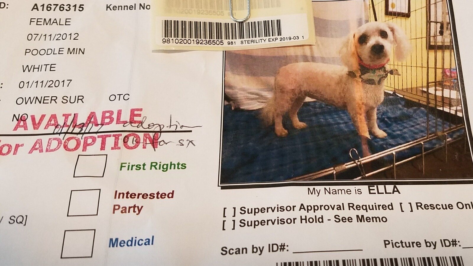 Petition · Prevent Proposed $6 . 4 million Budget Cuts to Los Angeles ...