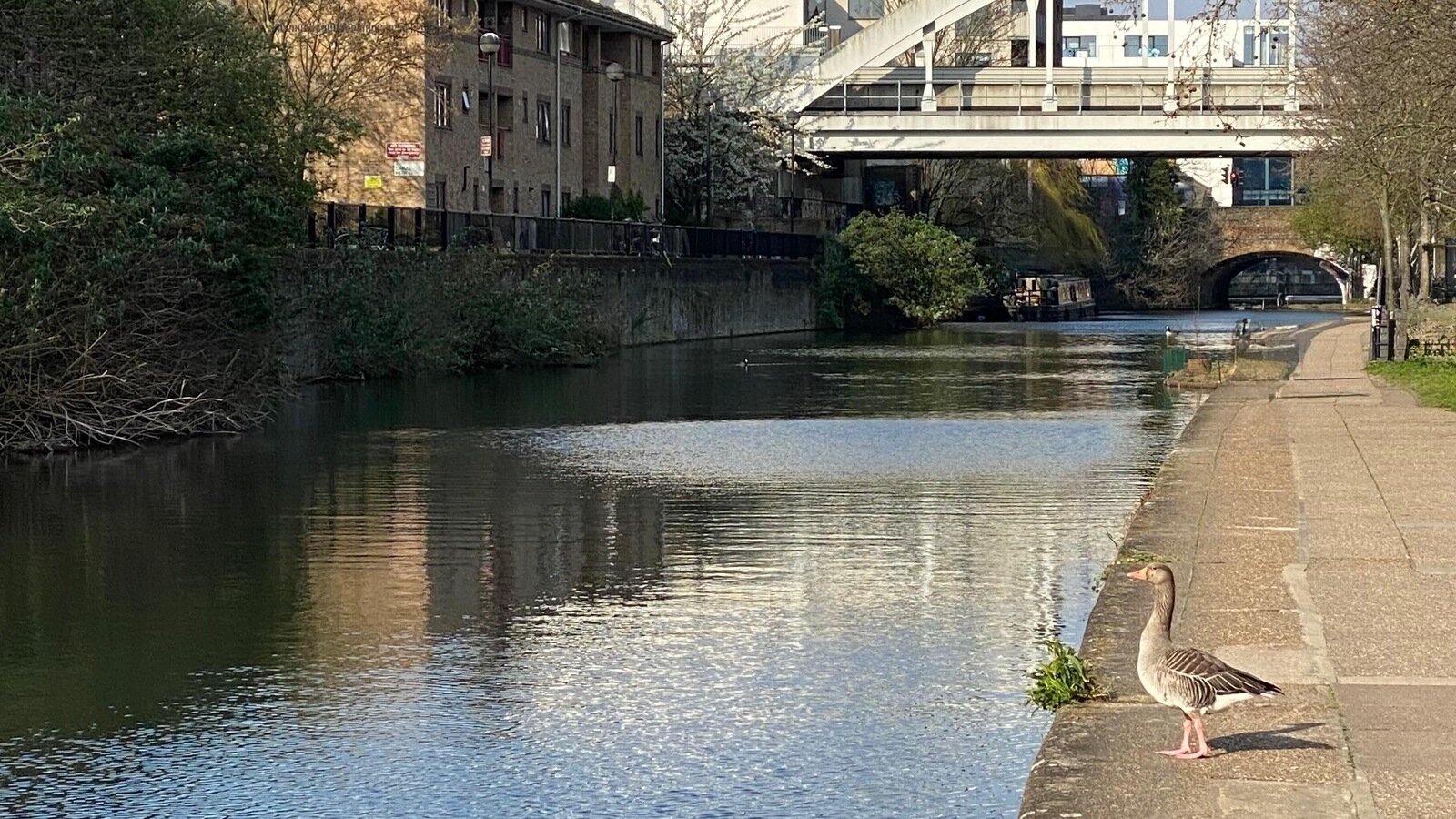 Petition · Make Regent's Canal Towpath Pedestrian-Only in Hackney ...