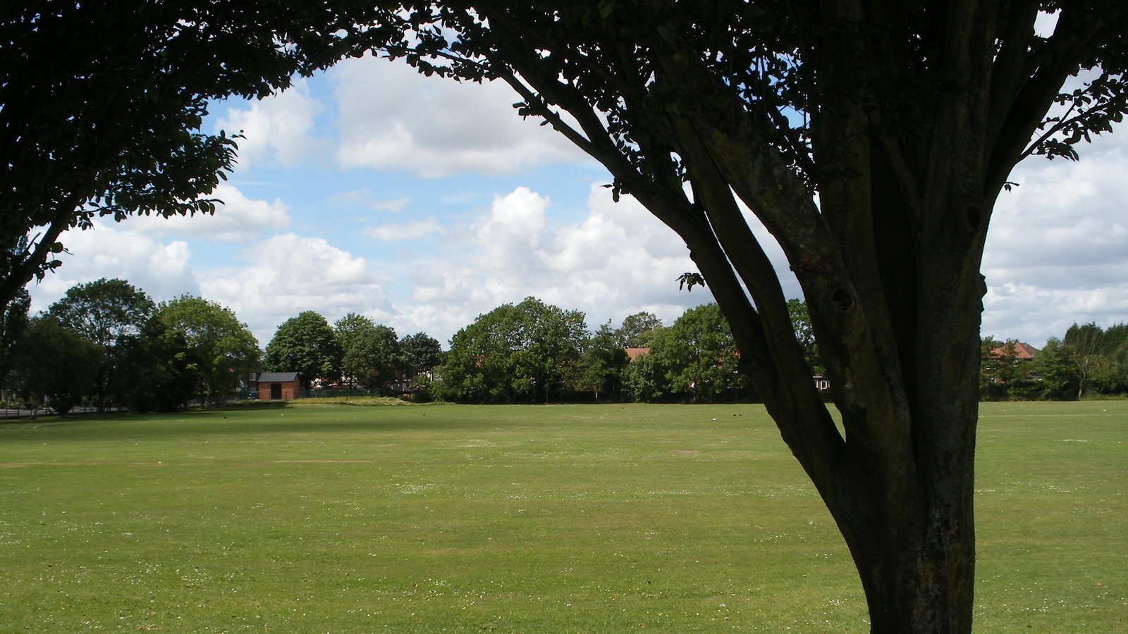 Petition · LEAVE GREEN FIELDS OF TWO TREES SCHOOL ALONE - Denton ...