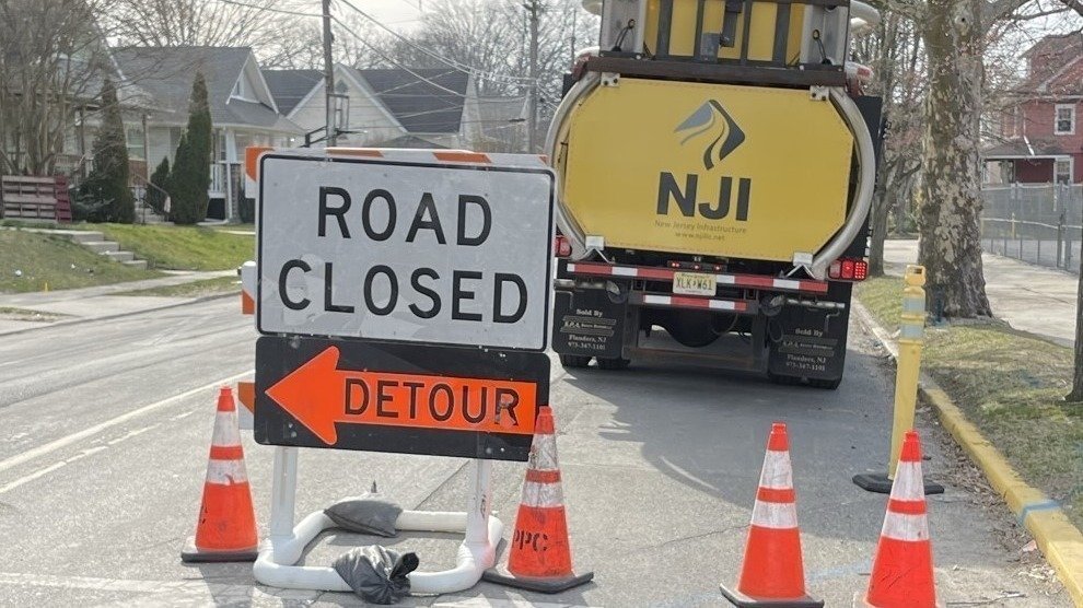 Petition · Make the Orange Traffic Cone the Official Flower of the ...