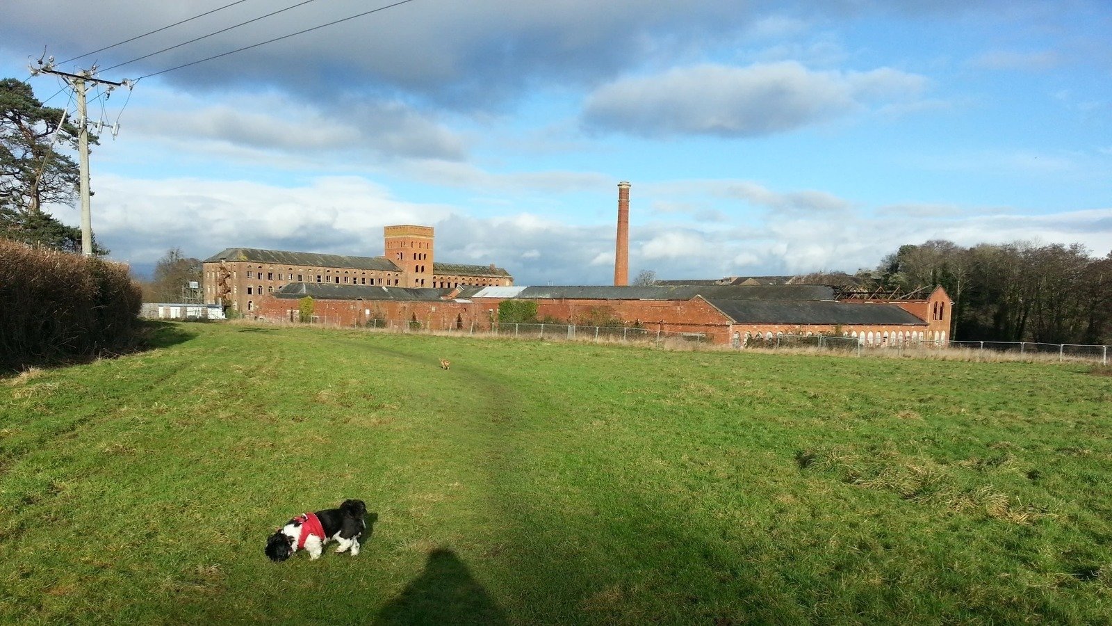 Petition · Save Fox's Field for Our Wildlife & Community! - United ...