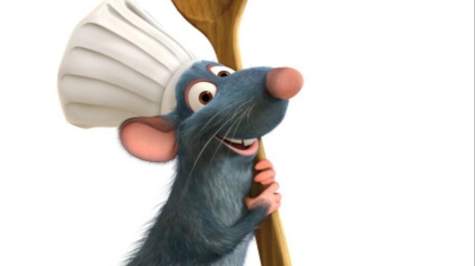 Pétition · Exigez la lutte contre l'infestation des rats à Cagnes-sur ...