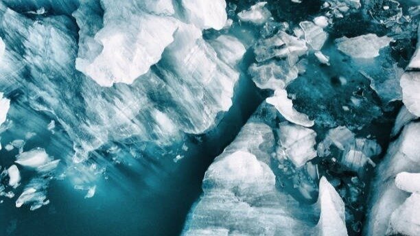 Pétition · Exigeons la fermeture de "Arctic Ice" pour la protection des ...
