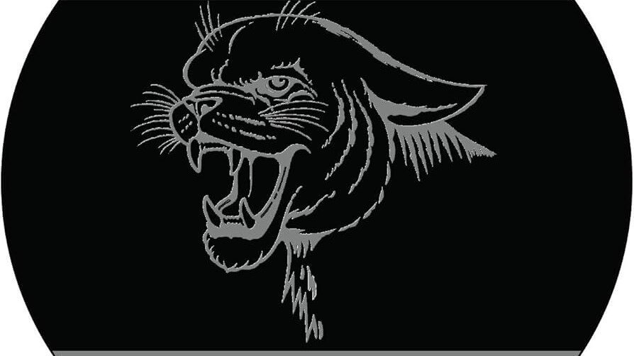 Petition · Restore the Original Cougar Logo and Mascot for Our Local ...