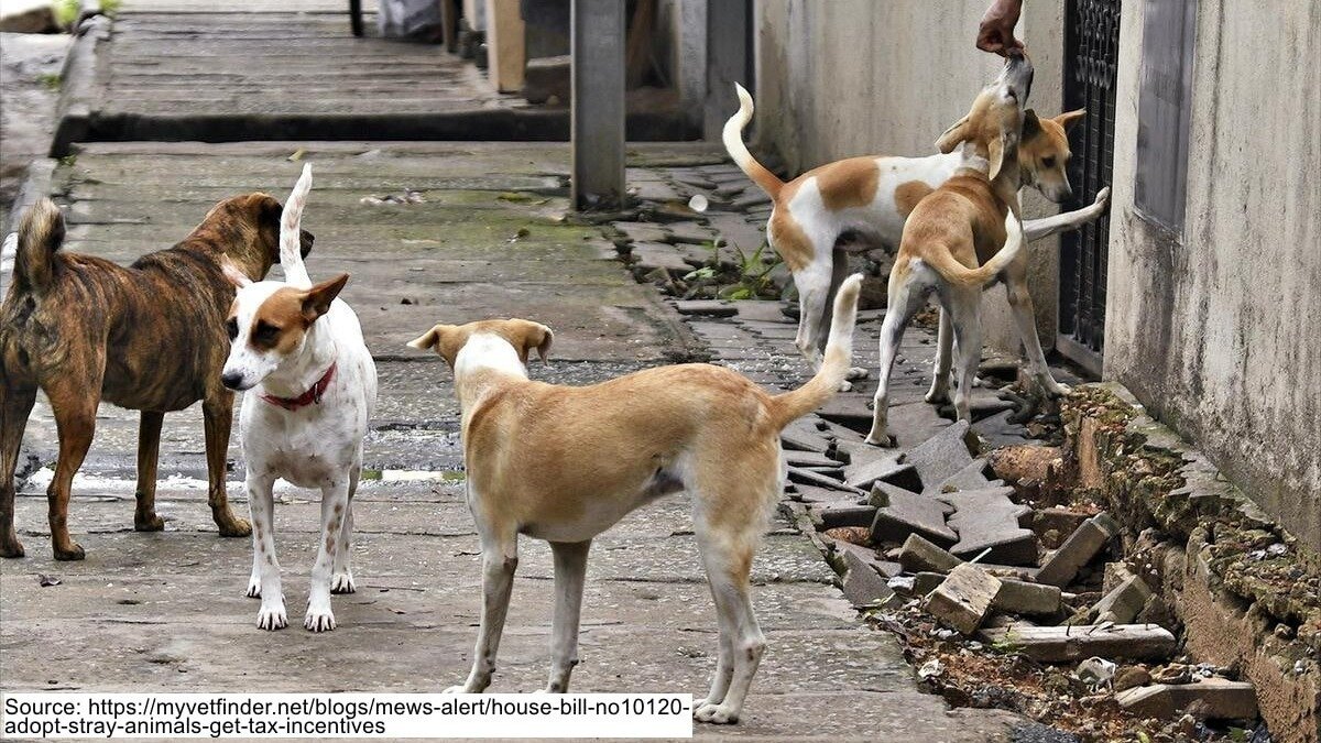 Petition · Improve Treatment and Welfare of Stray Animals - Philippines ...