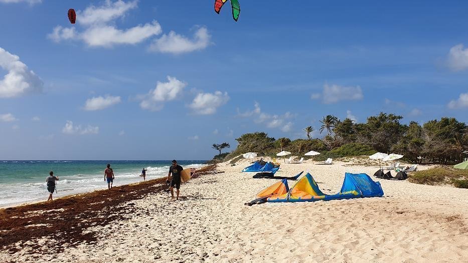 Petition · Silver Rock Beach - sunchairs and umbrellas create hazard ...