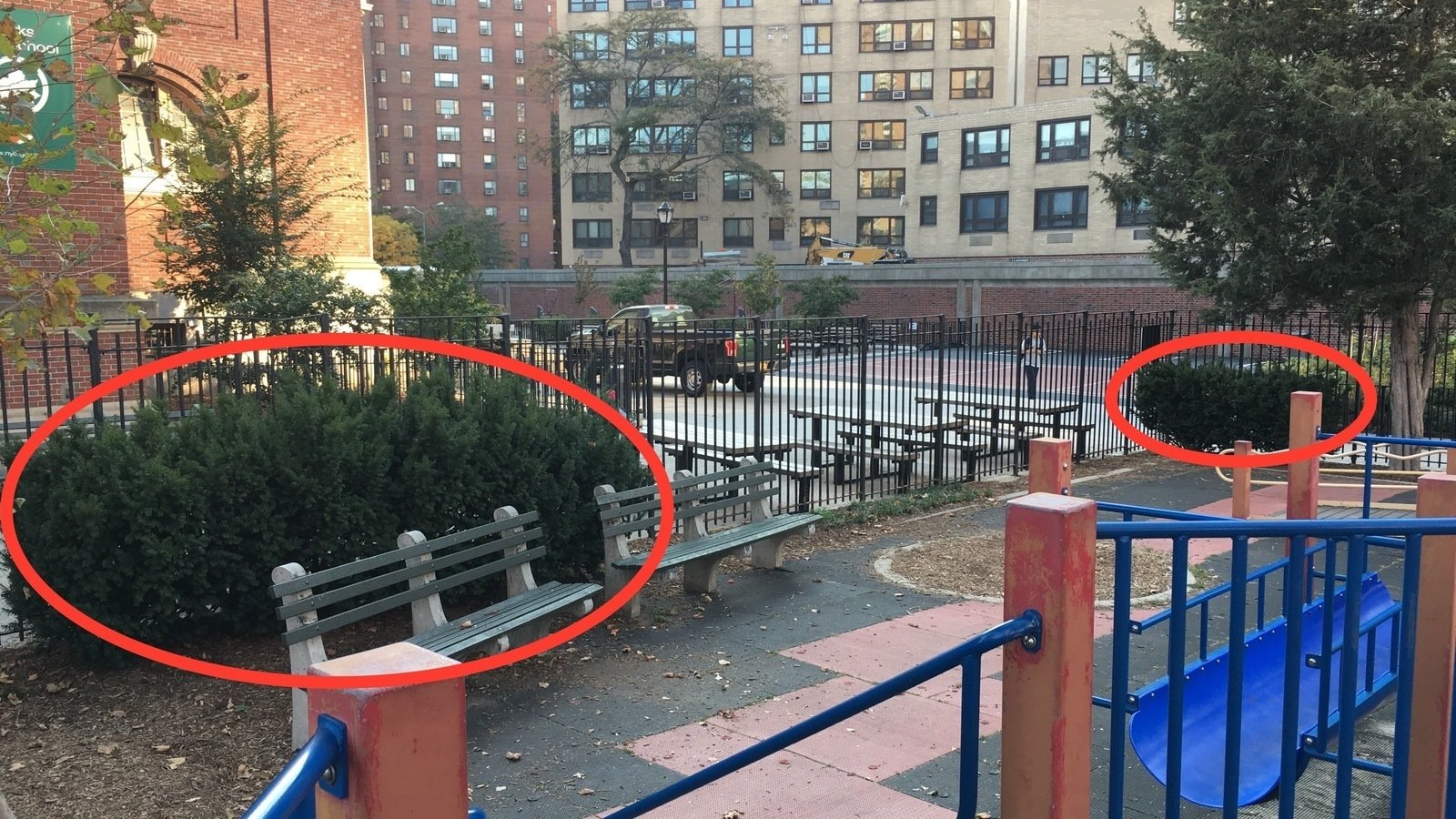 Petition · Remove poisonous plants from Asser Levy Playground - New ...