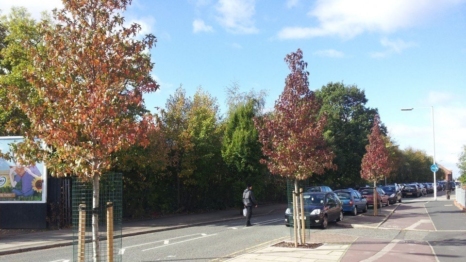 Petition · A petition to save Orrell Park street trees. - United ...
