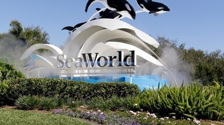 Petition · Stop seaworld from hurting the animals - United States ...