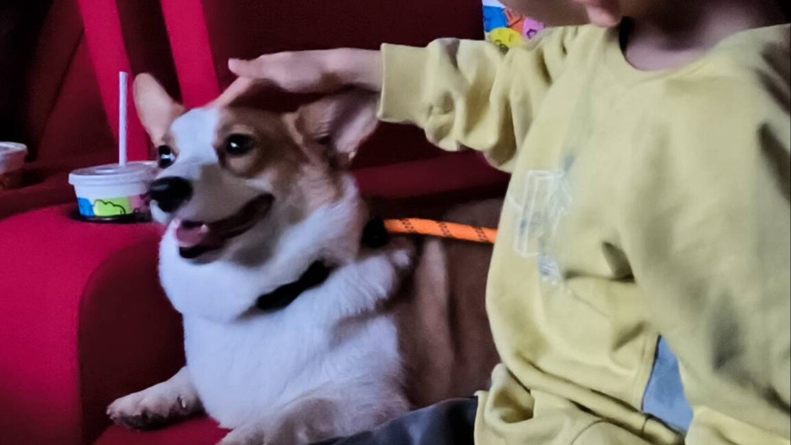 Petition update · re: fun update · Change.org · Change.org