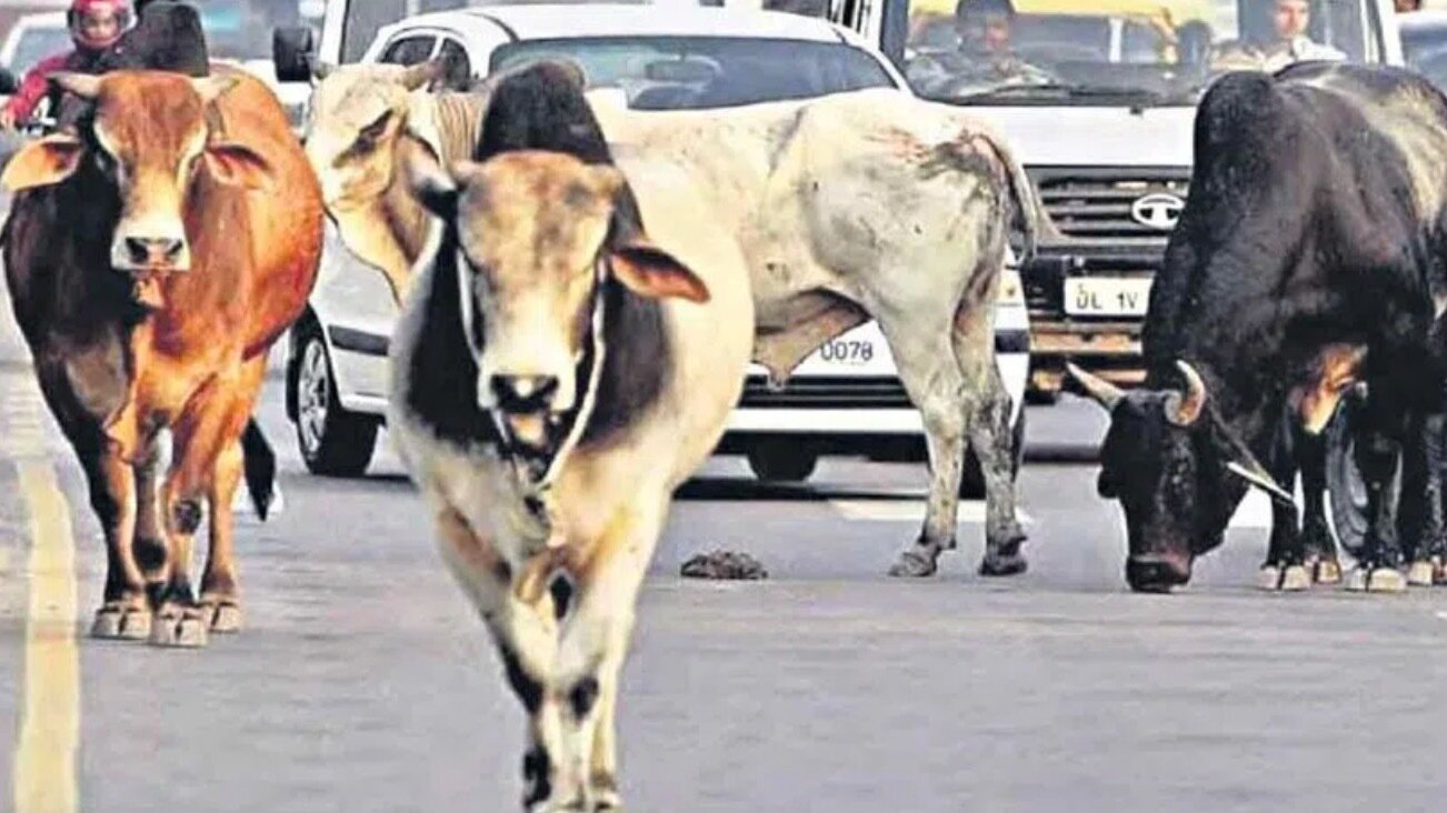 Petition · Safe Roads for All - Ensuring safety of human life by ...