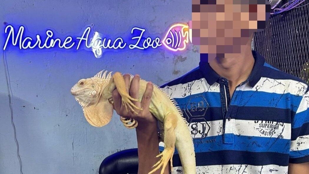 Petition · Stop the cruelty at Marine Aqua Zoo Dadar - India · Change.org