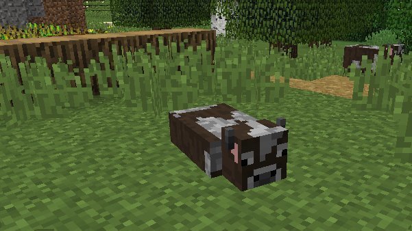 Petition · Mikey to show his hoohaas · Change.org