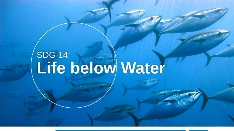 Petition · Life Below Water - Why It Is Matter - Malaysia · Change.org