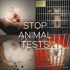Petition · Animal Testing Must Stop - United States · Change.org