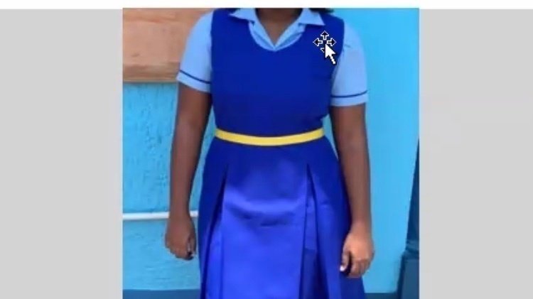 Petition · GAYNSTEAD HIGH: Changing the new uniforms back to the ...