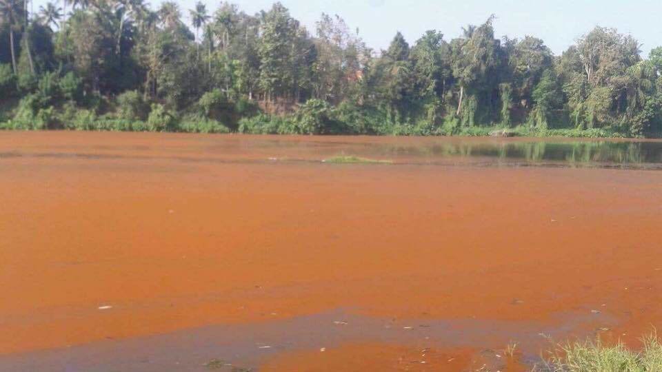 Petition · Let us help spare our river unpolluted for next generation ...