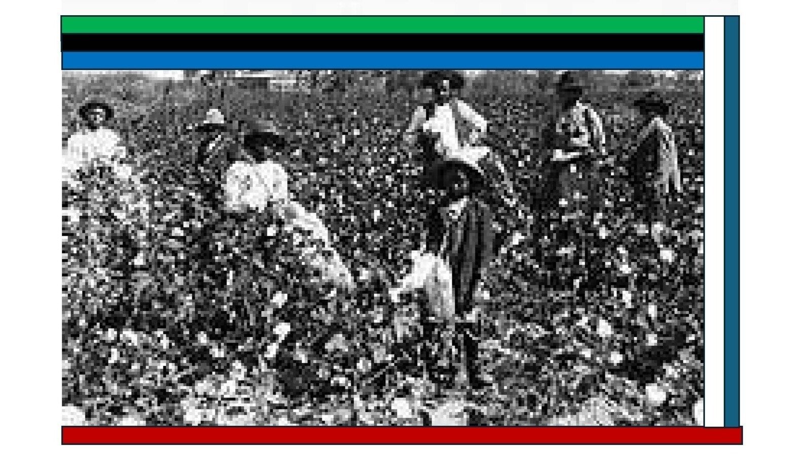 Petition · Compensate the Heirs of Freed Texas Slaves for Unpaid Labor ...