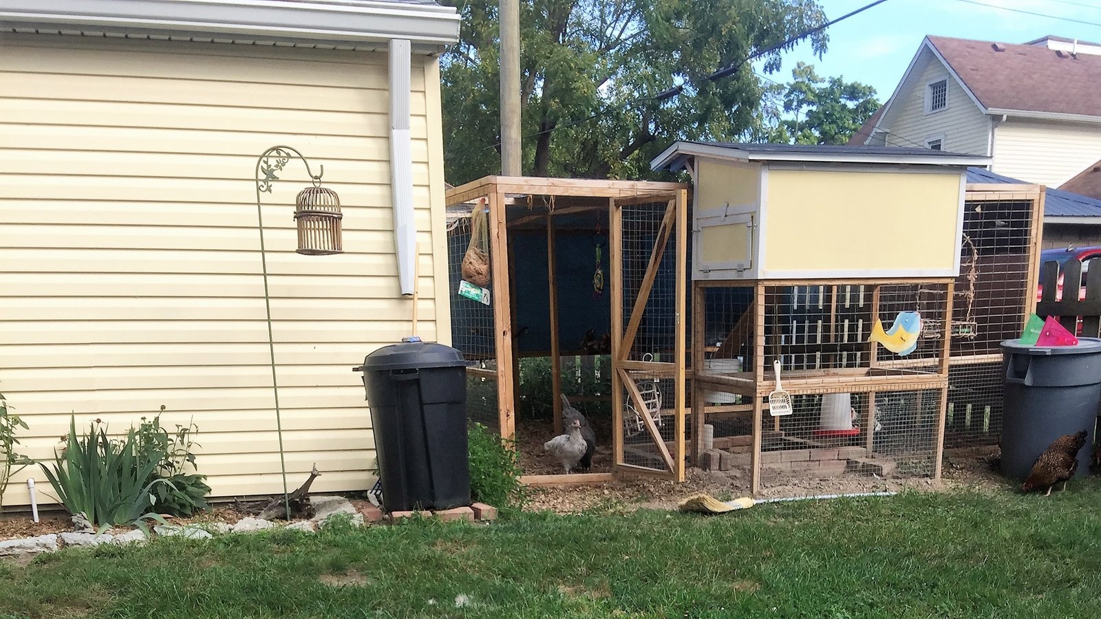 Petition · Petition to allow Chickens in Lebanon Indiana - United ...