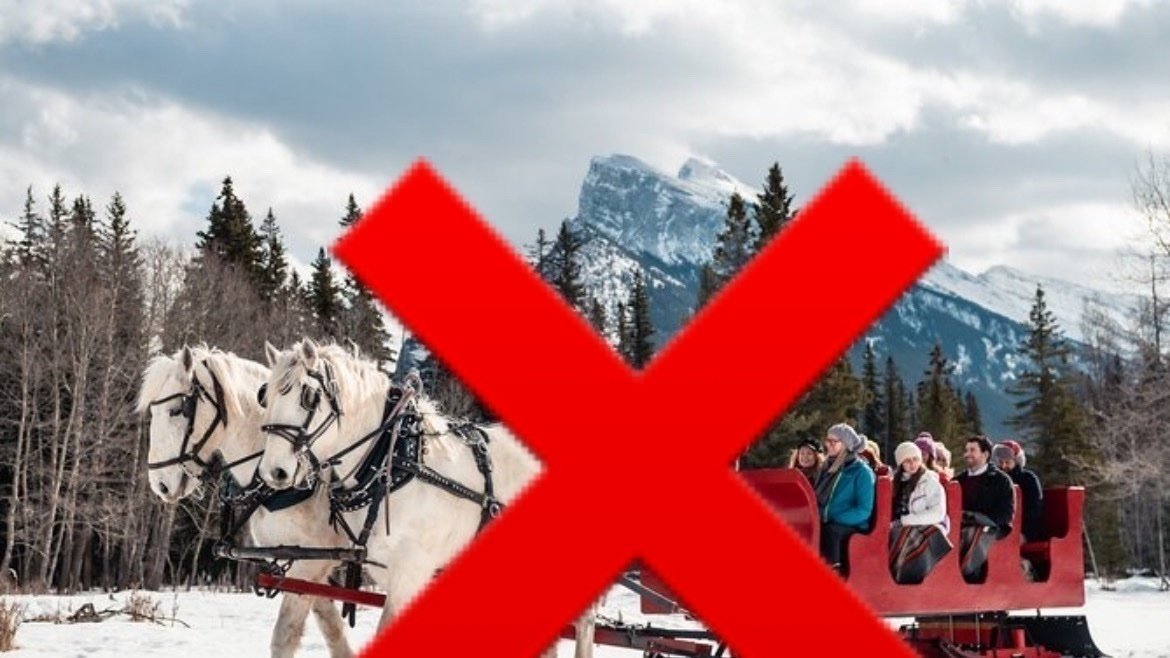 Petition · Remove Sleigh Ride For The Winter Concert - United States ...