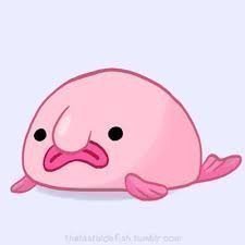 Petition · MAKE A BLOBFISH EMOJI!!! - United States · Change.org
