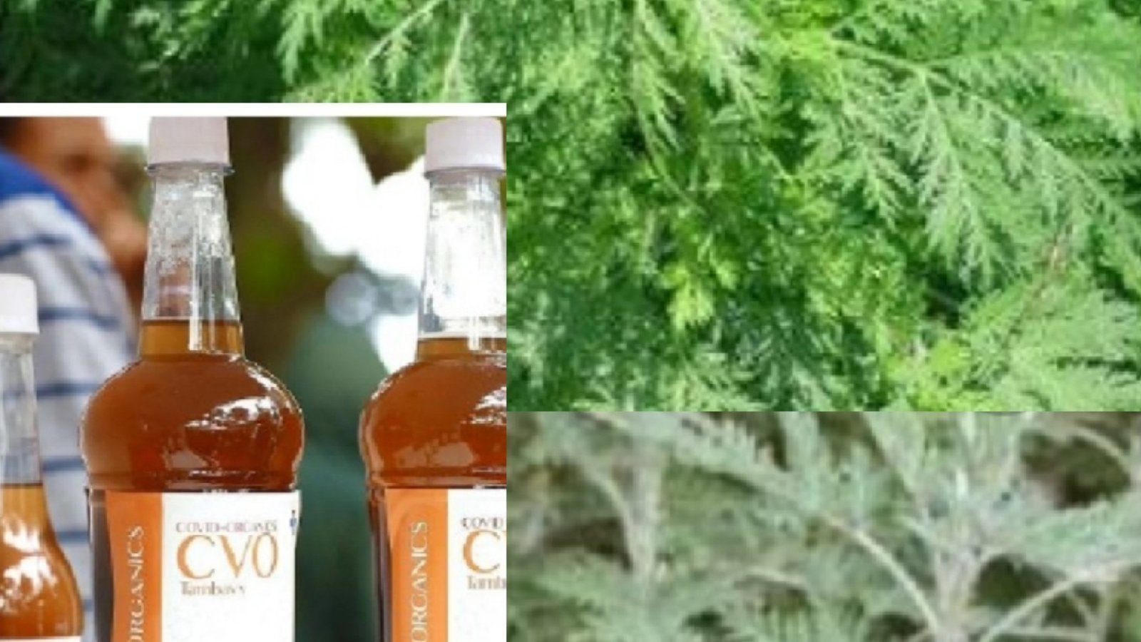 Petition · South Africans are taking STAND on LENGANA/UMHLONYANE ...