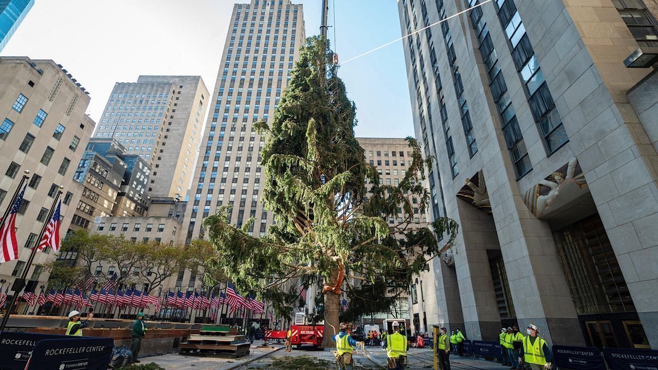 Petition · PLANT A PERMANENT TREE IN ROCKEFELLER CENTER - United States ...
