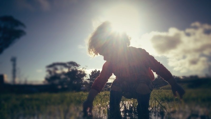 Petition · Auckland Council: Save Weza Lane and the Kumeu River ...