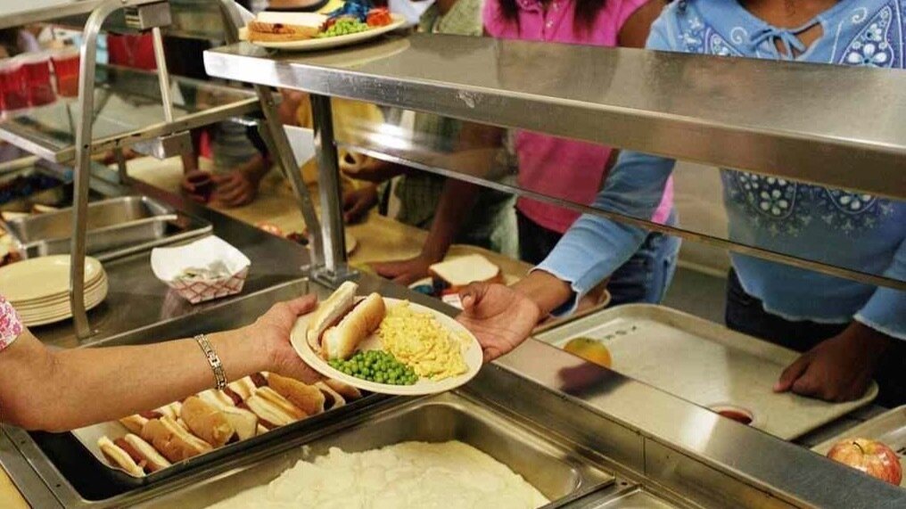 Petition · Increase Funding for Education and School Lunches in New ...
