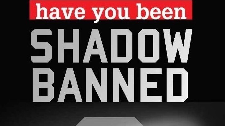 Petition · BRING JUSTICE! HELP STOP TIKTOK FROM SHADOW BANNING ...