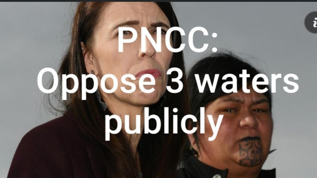 Petition · PNCC: Oppose 3 waters publicly, while exploring alternatives ...