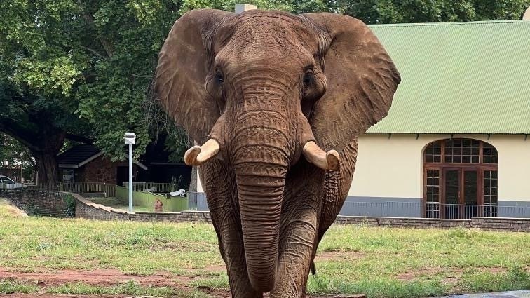 Petition update · IMPORTANT UPDATE: COMPREHENSIVE EXPERT ASSESSMENTS OF ...