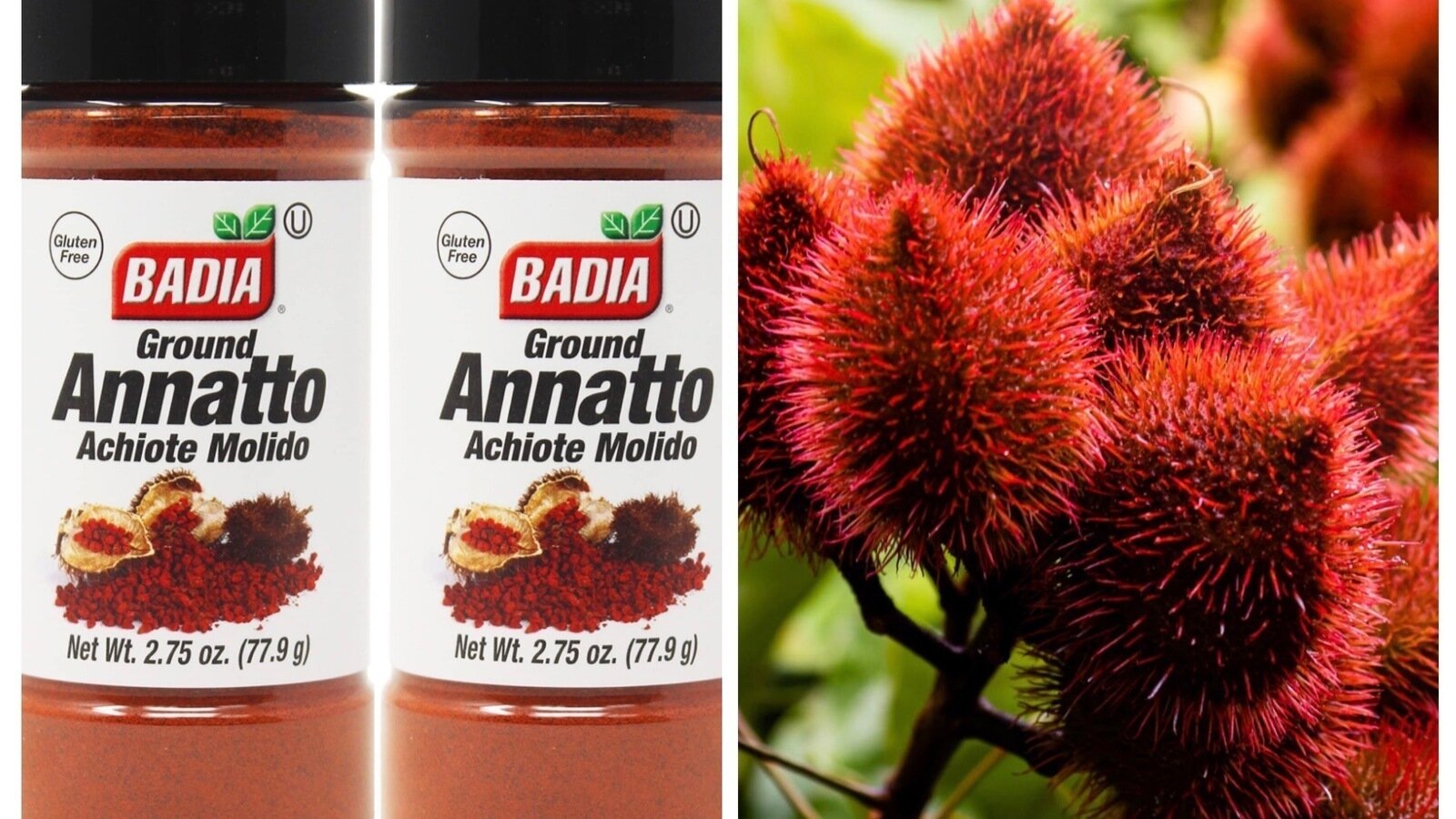 Petition · Annatto is in almost everything, people with nut allergies ...