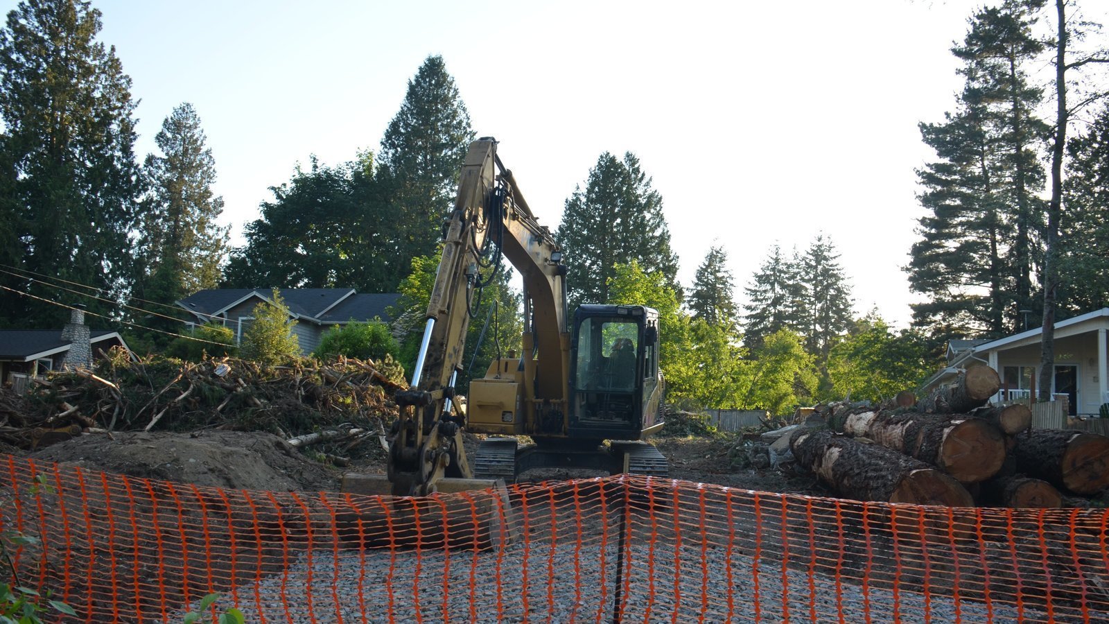 Petition · We're losing our trees! Please enforce and update Seattle's ...