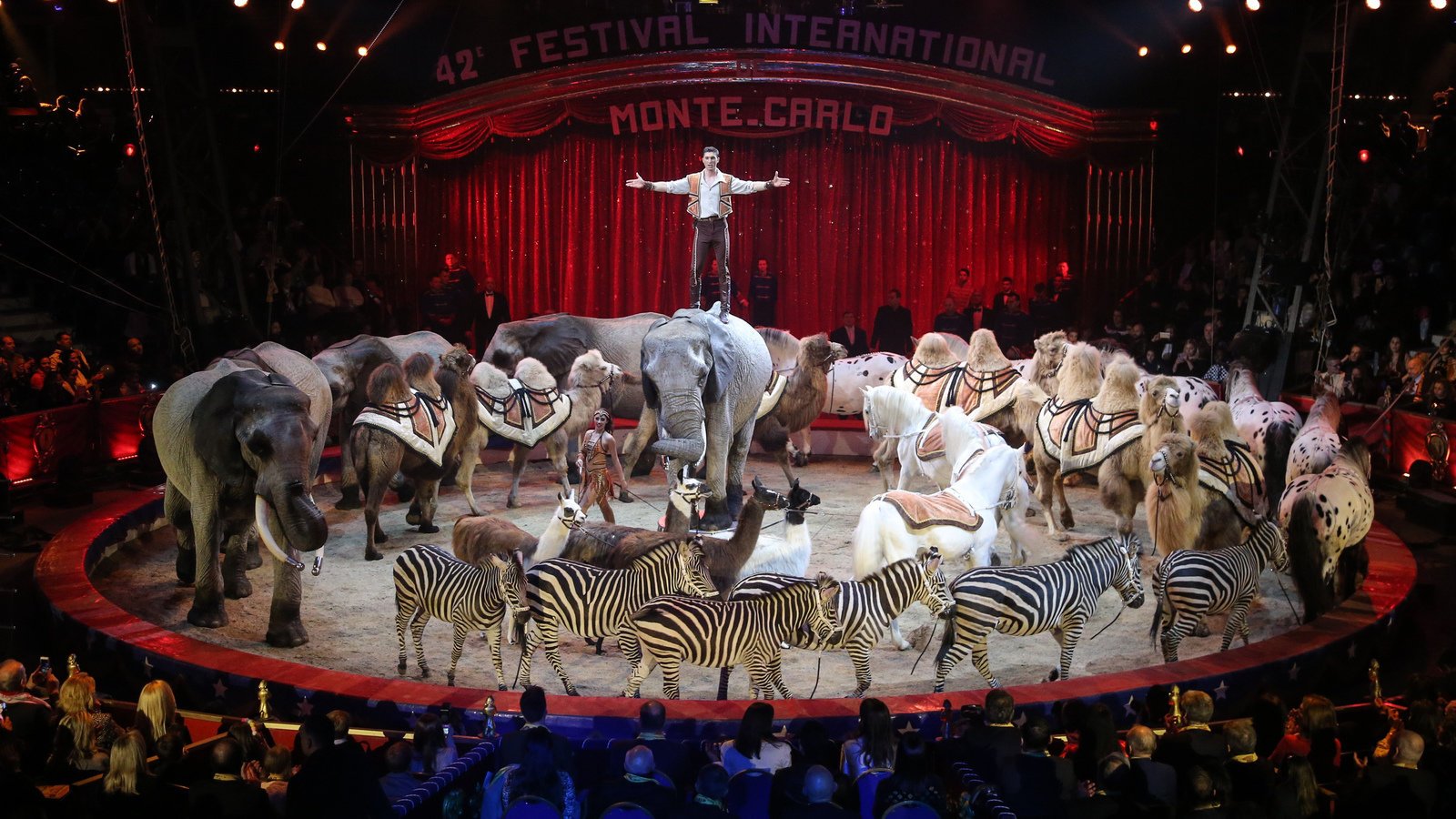 Pétition · Oui au Cirque avec les animaux - Monaco · Change.org